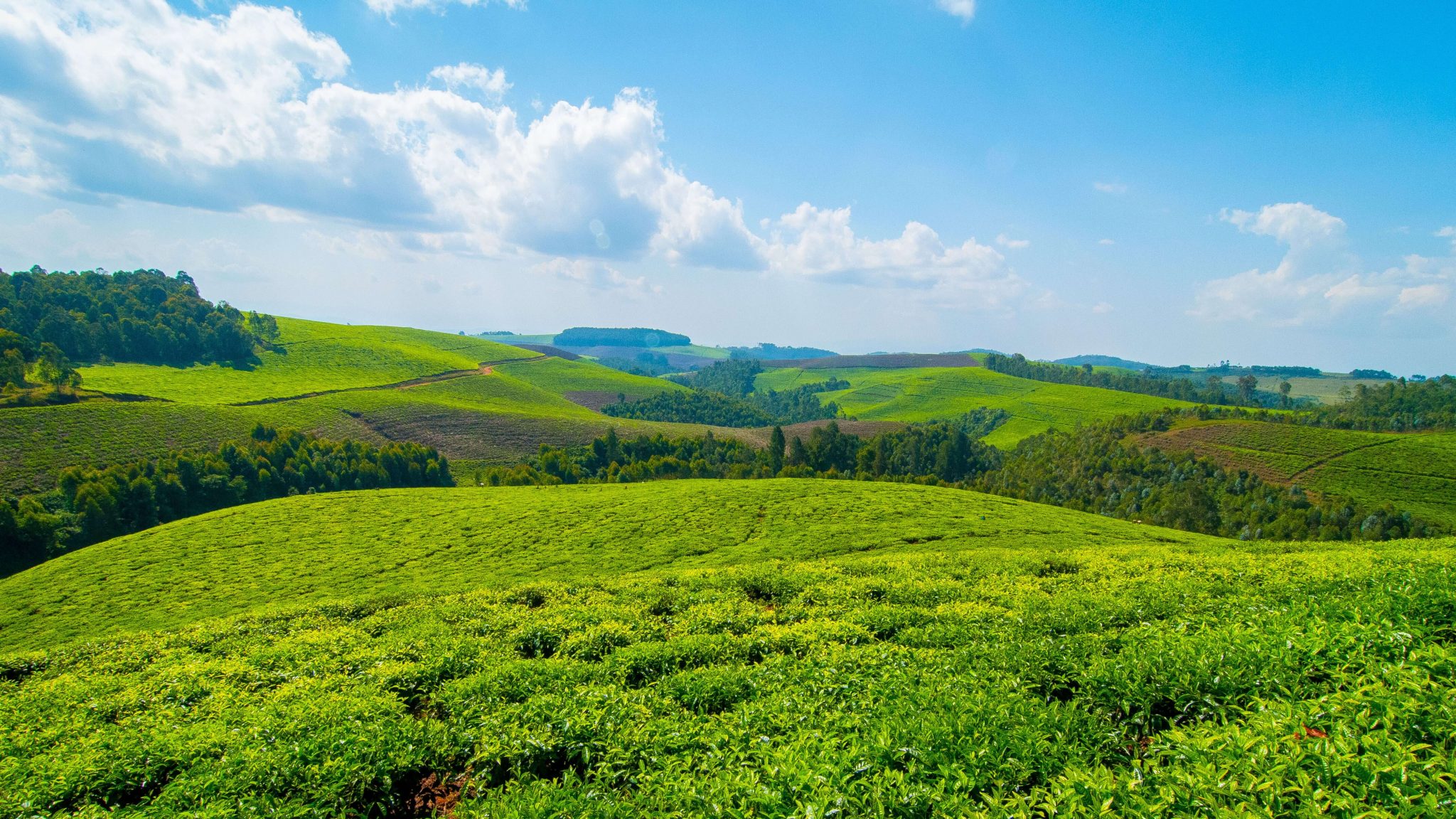 360 Deep Dive Rwanda - PIM Global