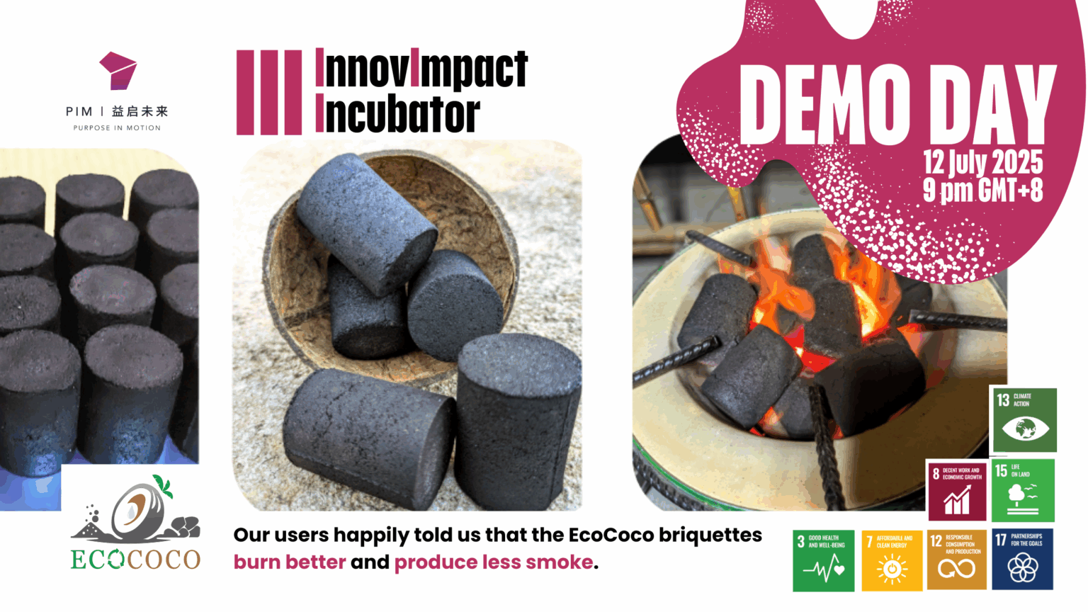 Team Spotlight: Coconut Waste to Clean Cooking - Meet EcoCoco from ...